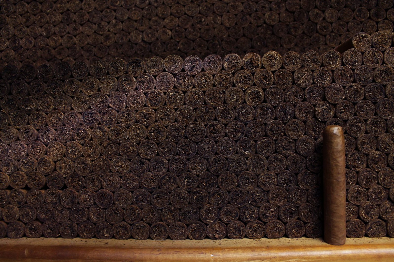Don Lucas AL Series - Don Lucas Cigars